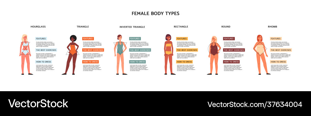 Female body types in classification geometric Vector Image