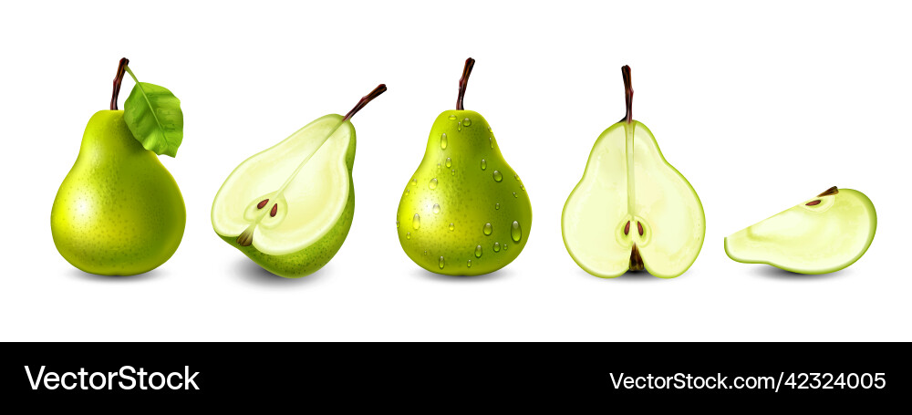 Realistic pear set Royalty Free Vector Image - VectorStock