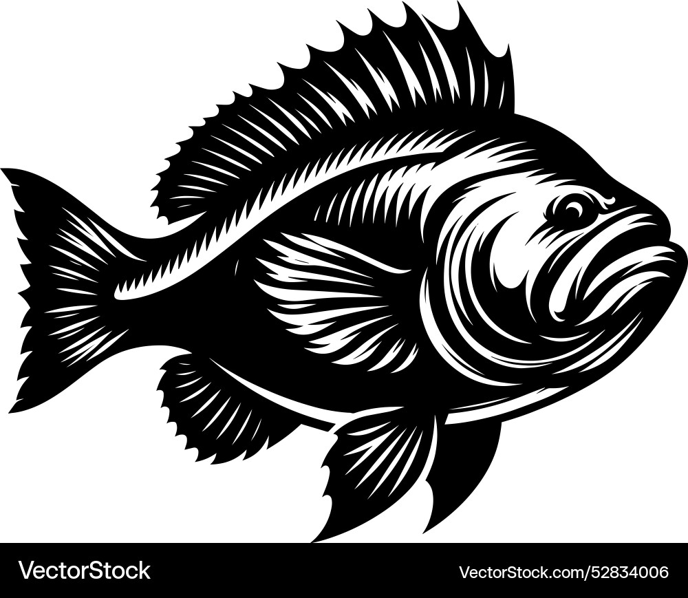 Big fish silhouette isolated on white background Vector Image