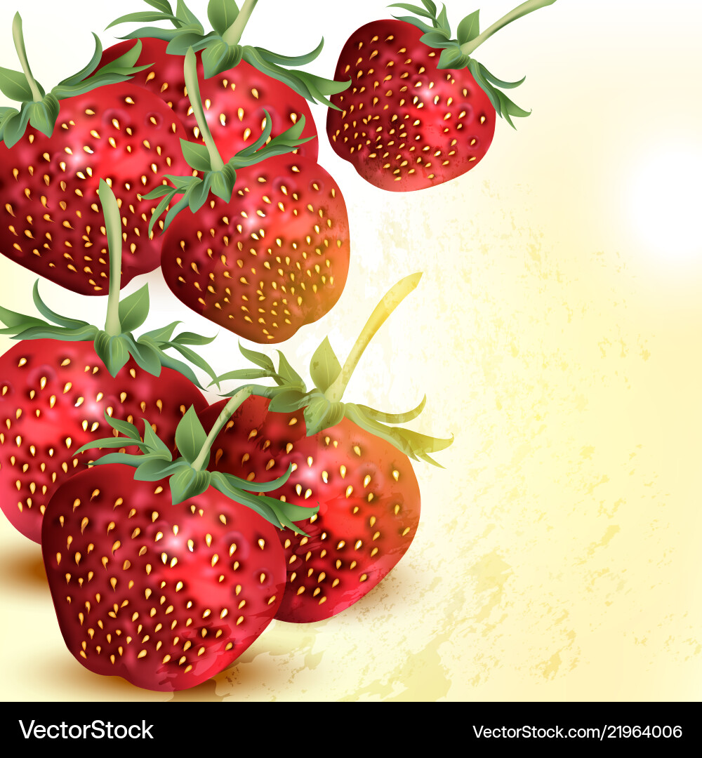 Grunge background with realistic strawberry Vector Image