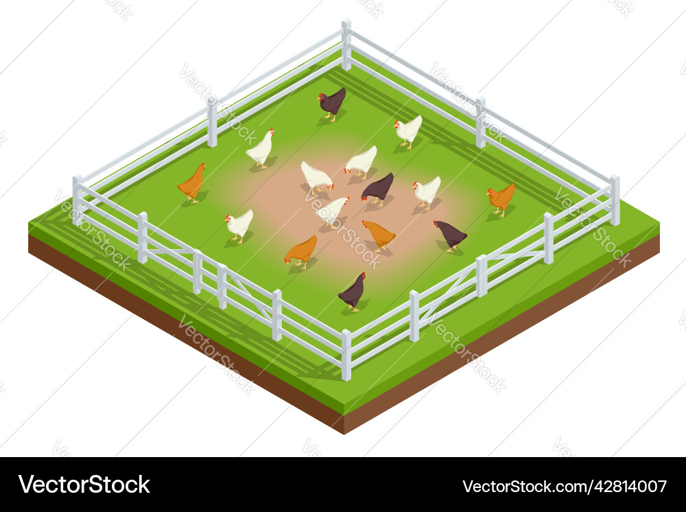 Isometric poultry farming chicken coop or hen Vector Image