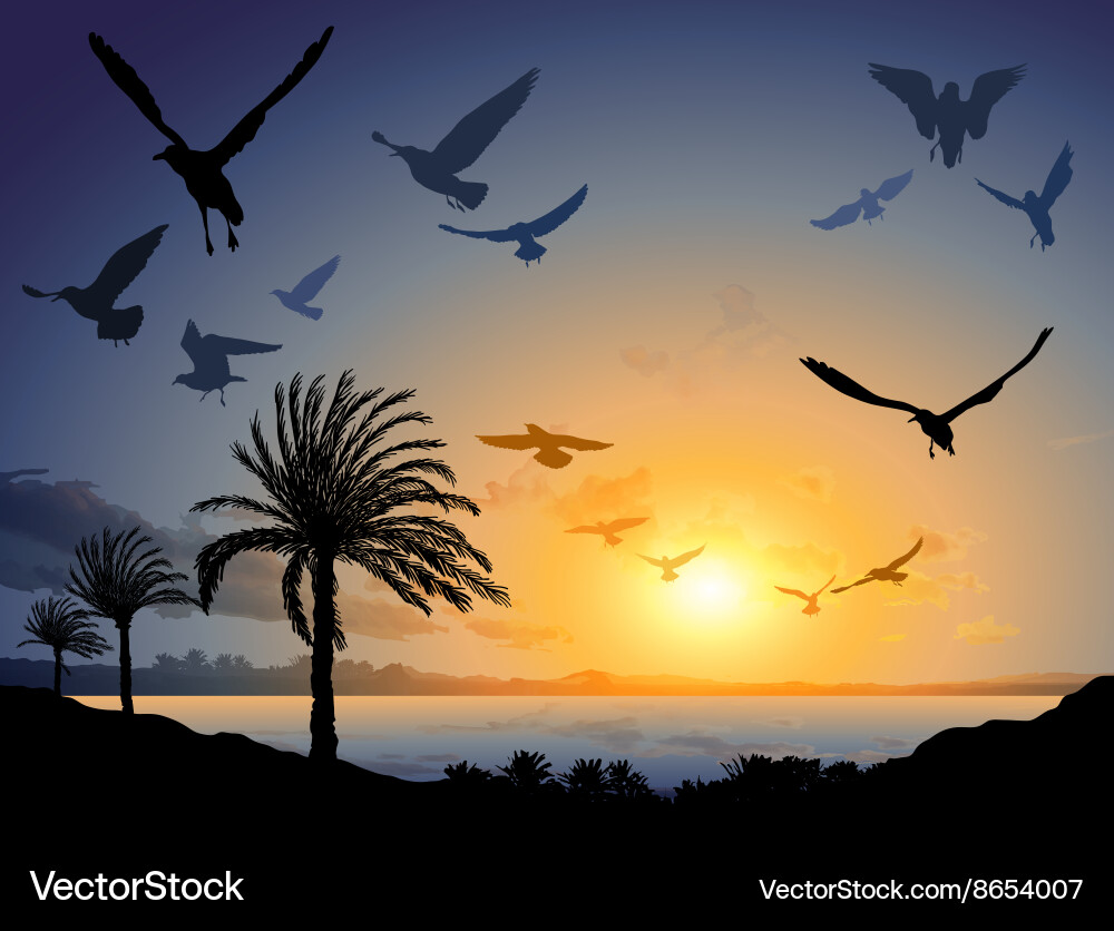 Tropical Sunset Sea Landscape Royalty Free Vector Image