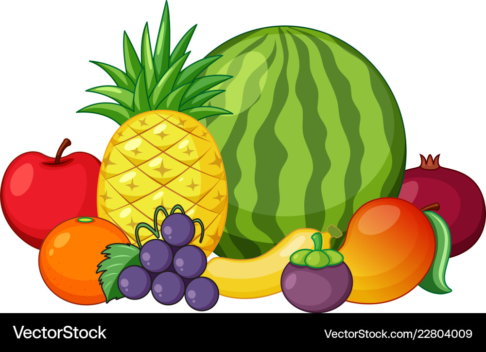 Set of mixed fruit Royalty Free Vector Image - VectorStock