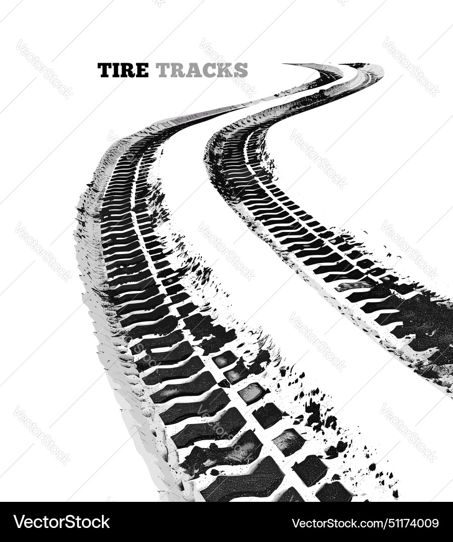 Tire tracks isolated on white Royalty Free Vector Image