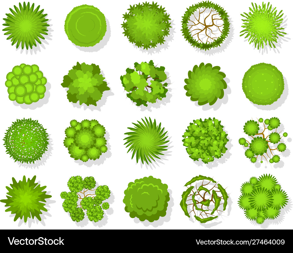 Top View Tree Landscape Royalty Free Vector Image