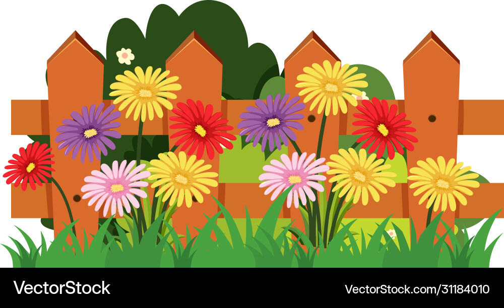 Colorful Flower Garden Scene Royalty Free Vector Image