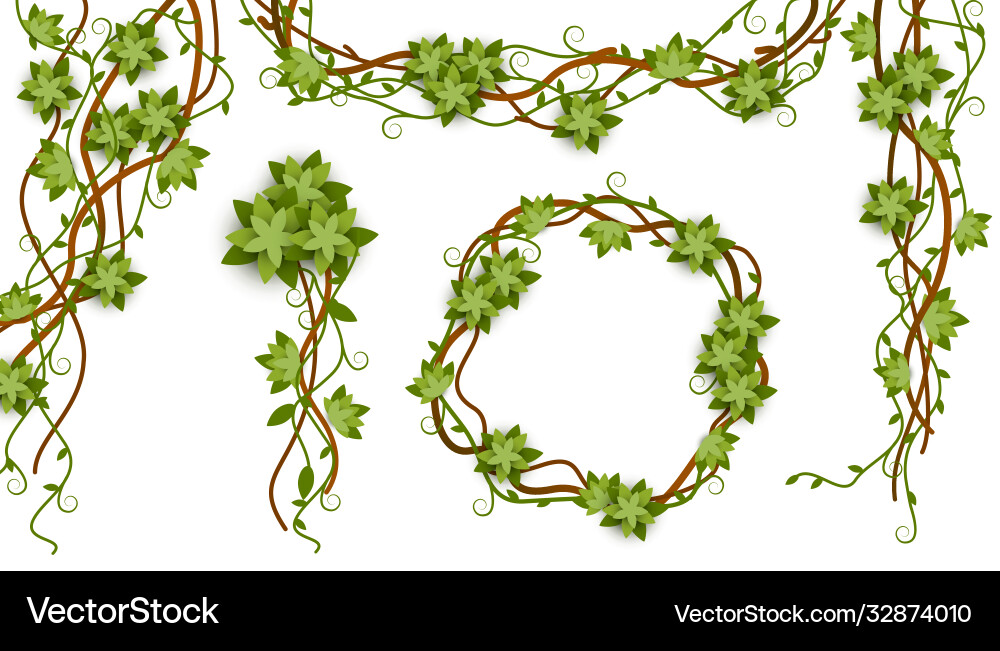 Jungle vine isolated frame set with tropical plant
