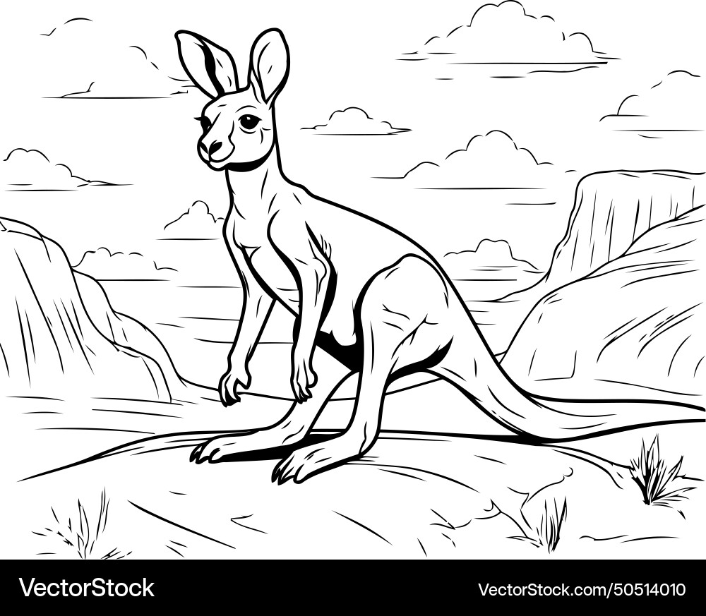 Kangaroo hand drawn sketch Royalty Free Vector Image