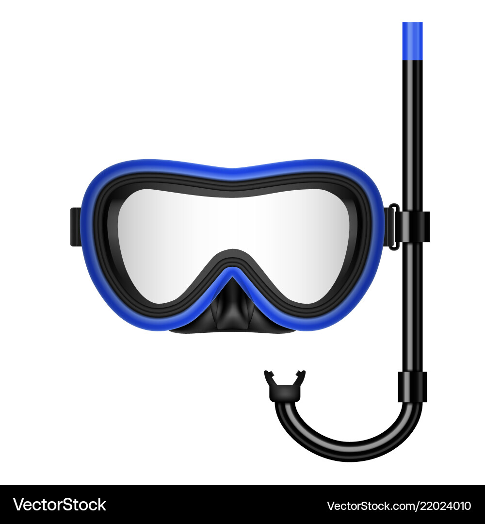 Scuba Diving Equipment Royalty Free Vector Image
