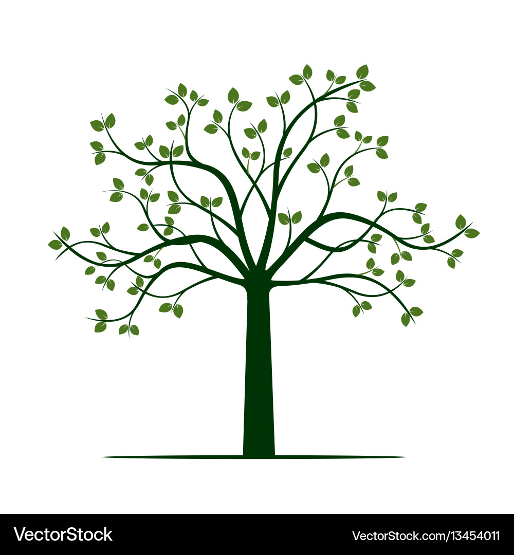 Green spring tree Royalty Free Vector Image - VectorStock