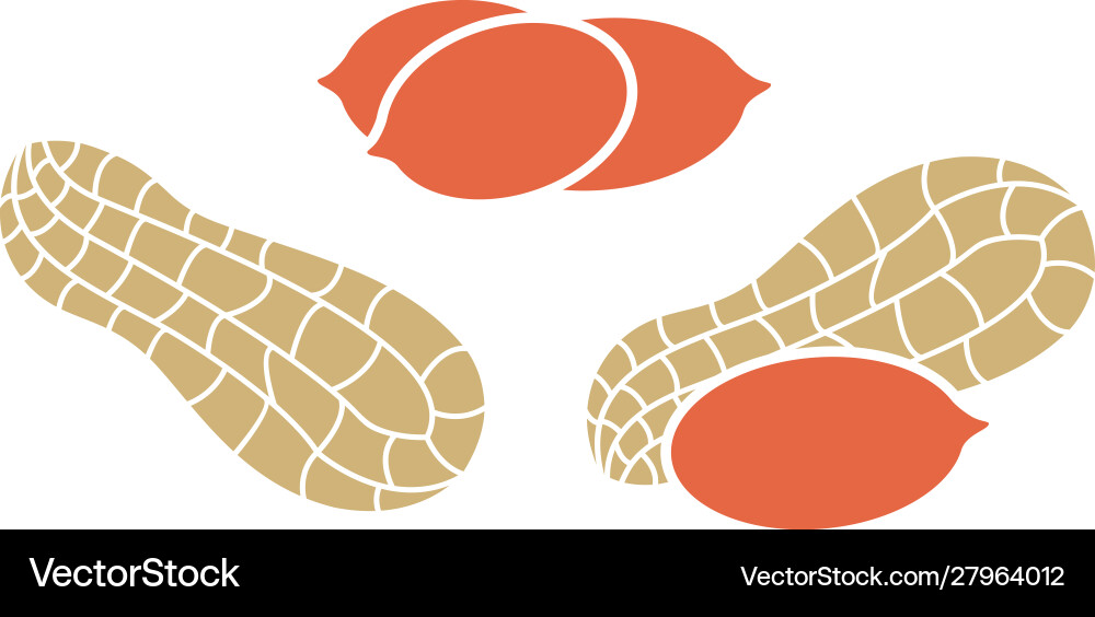 Peanut Royalty Free Vector Image - VectorStock
