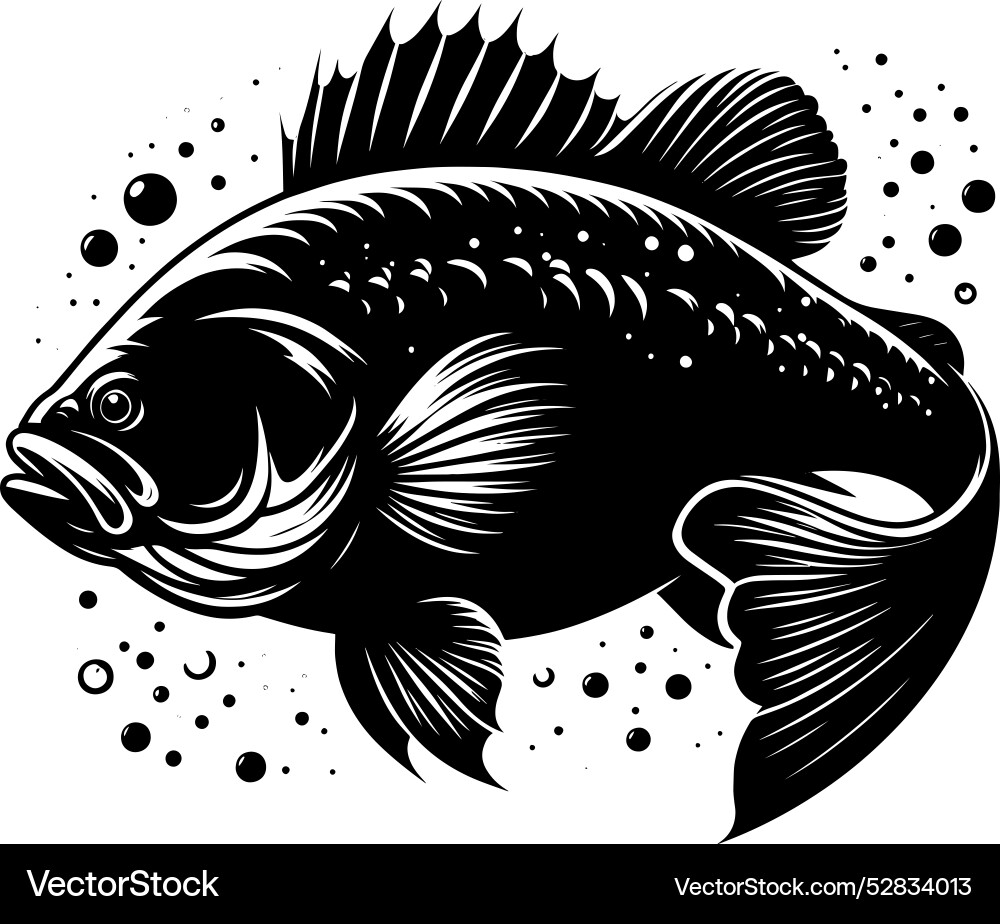 Big fish silhouette isolated on white background Vector Image