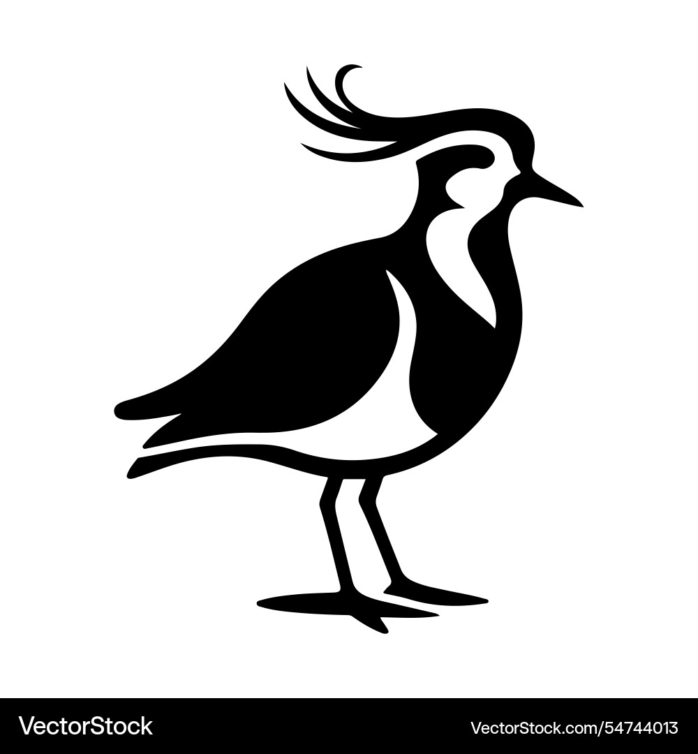Southern lapwing silhouette high-quality bird – Royalty-Free Vector ...