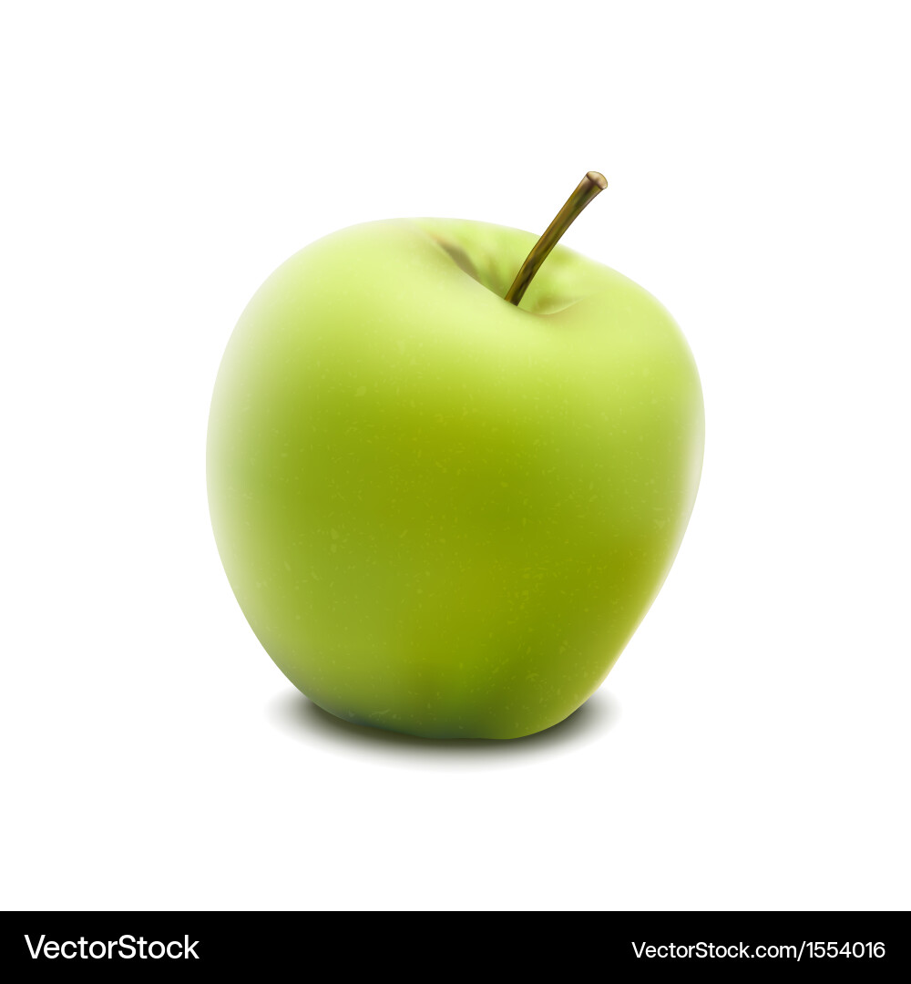 Green apple Royalty Free Vector Image - VectorStock