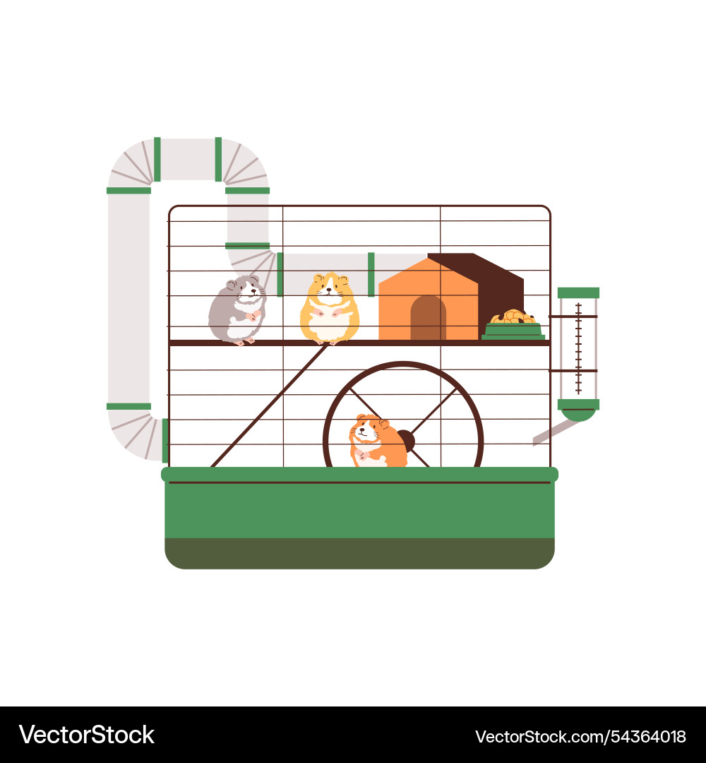 A two-story hamster cage Royalty Free Vector Image