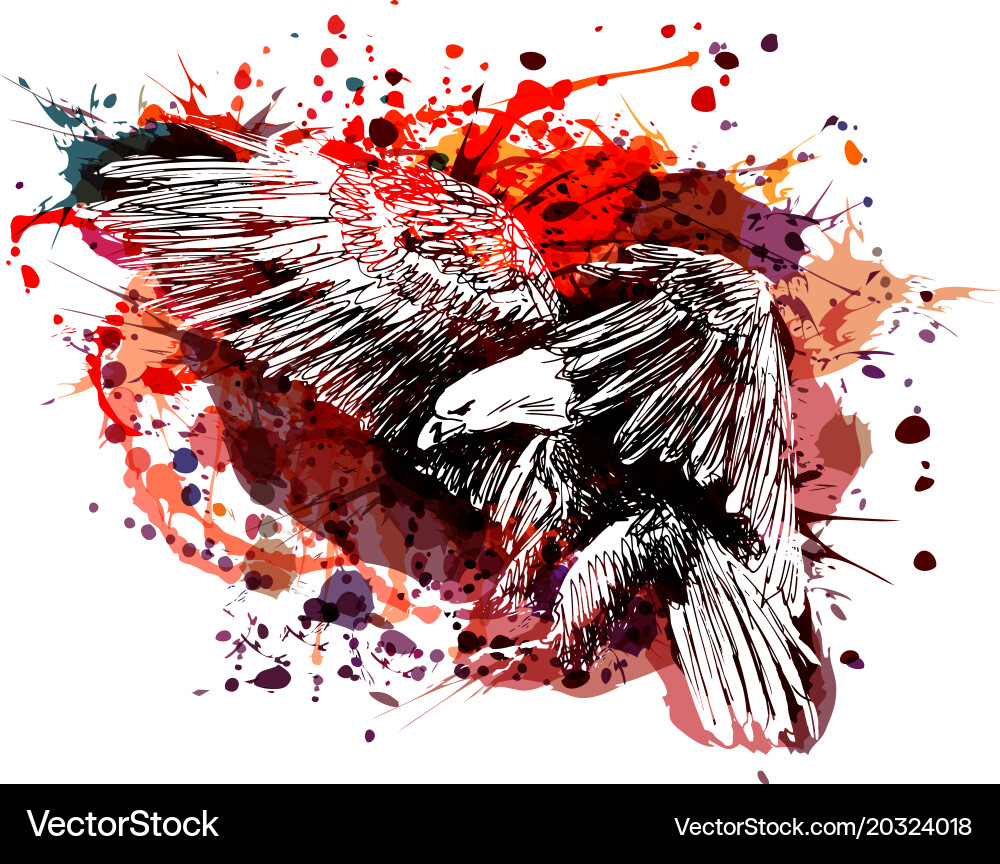 Color of a flying eagle Royalty Free Vector Image