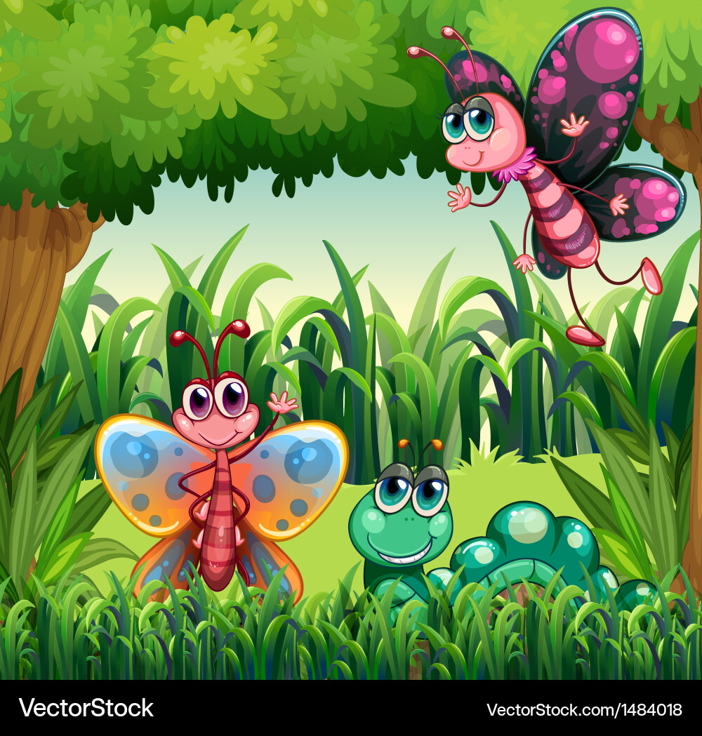 Insects at the forest Royalty Free Vector Image