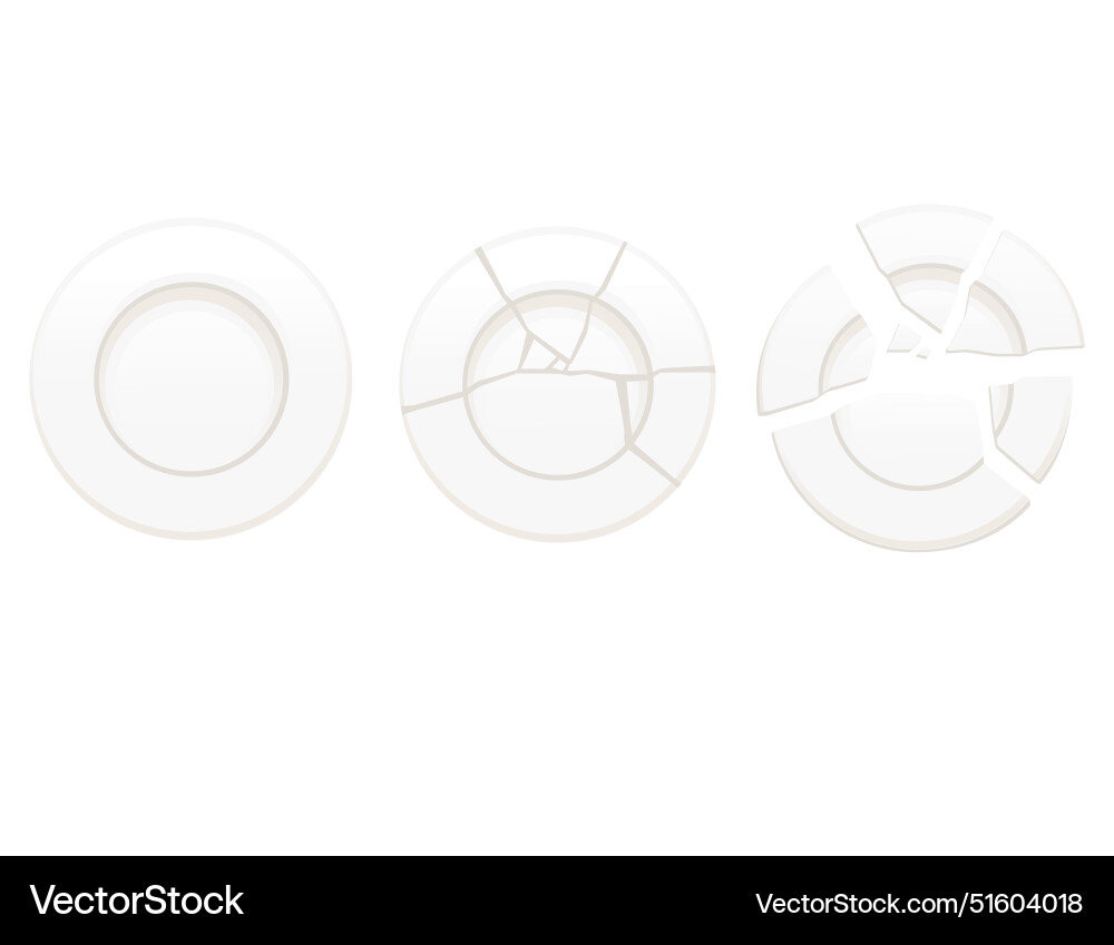 New broken and cracked ceramic plate isolated Vector Image
