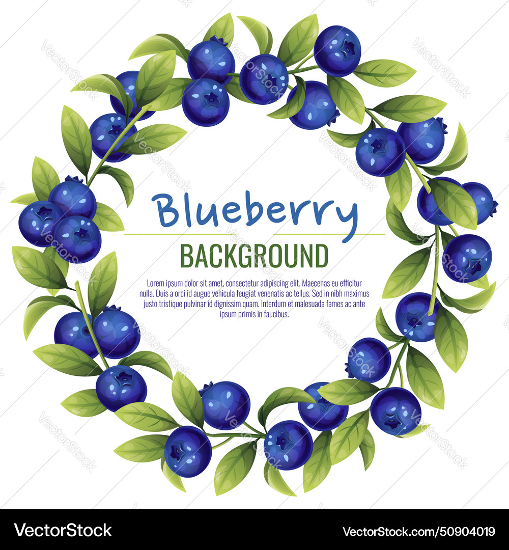 Card design with blueberries and green leaves Vector Image