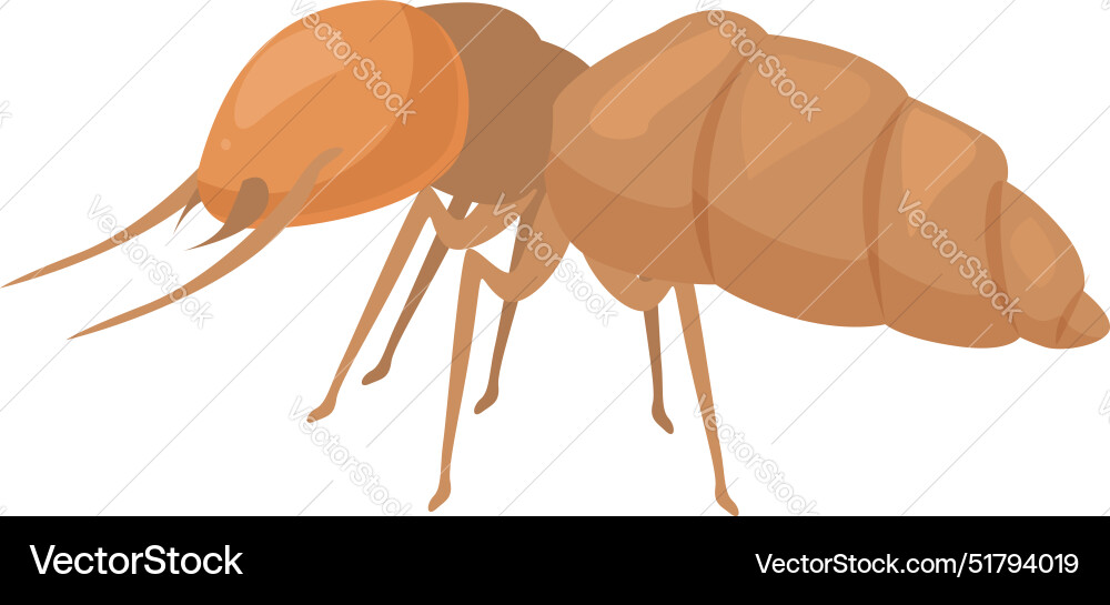 Termite walking and searching for food Royalty Free Vector