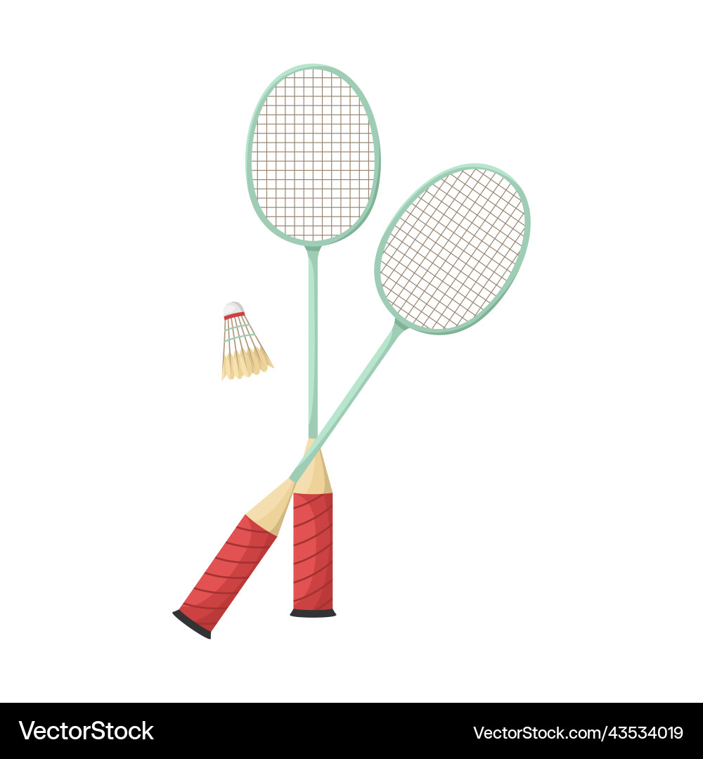 Two badminton rackets and a shuttlecock Royalty Free Vector