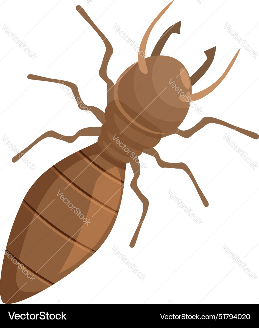 Brown termite insect crawling with six legs Vector Image