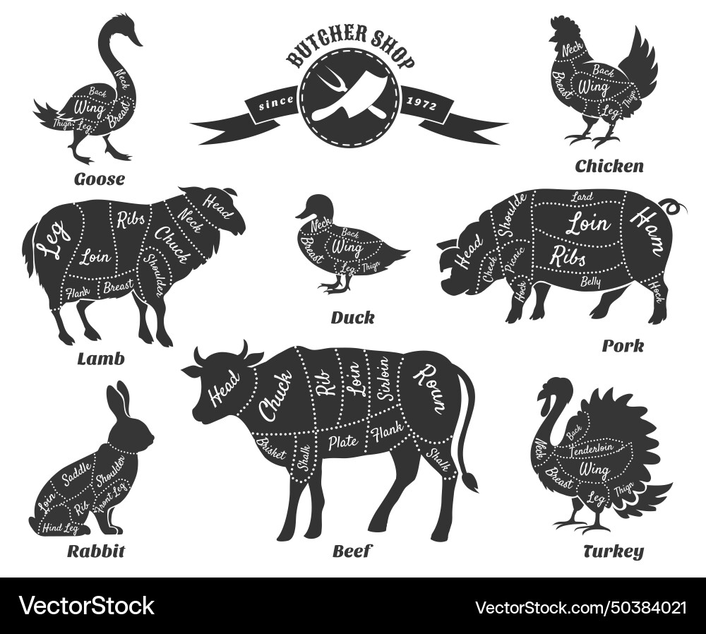 Diagrams for butcher shop Royalty Free Vector Image