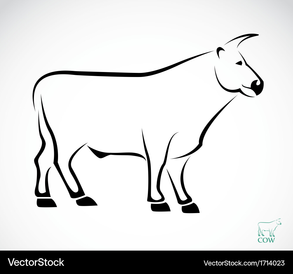 Cow Royalty Free Vector Image - VectorStock