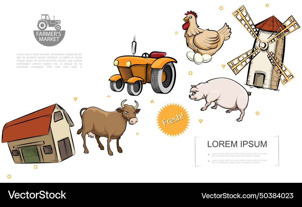 Retro farm colorful template Royalty Free Vector Image