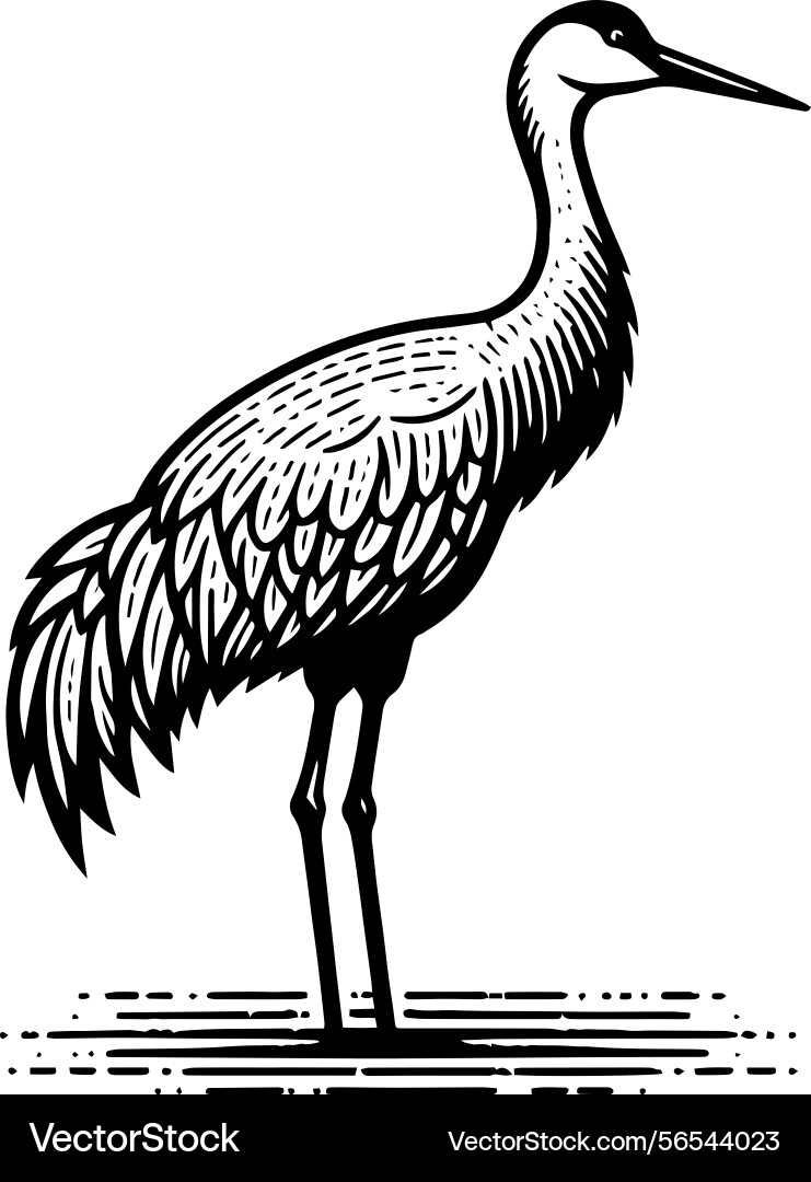 Simple sandhill crane side view icon vintage Vector Image