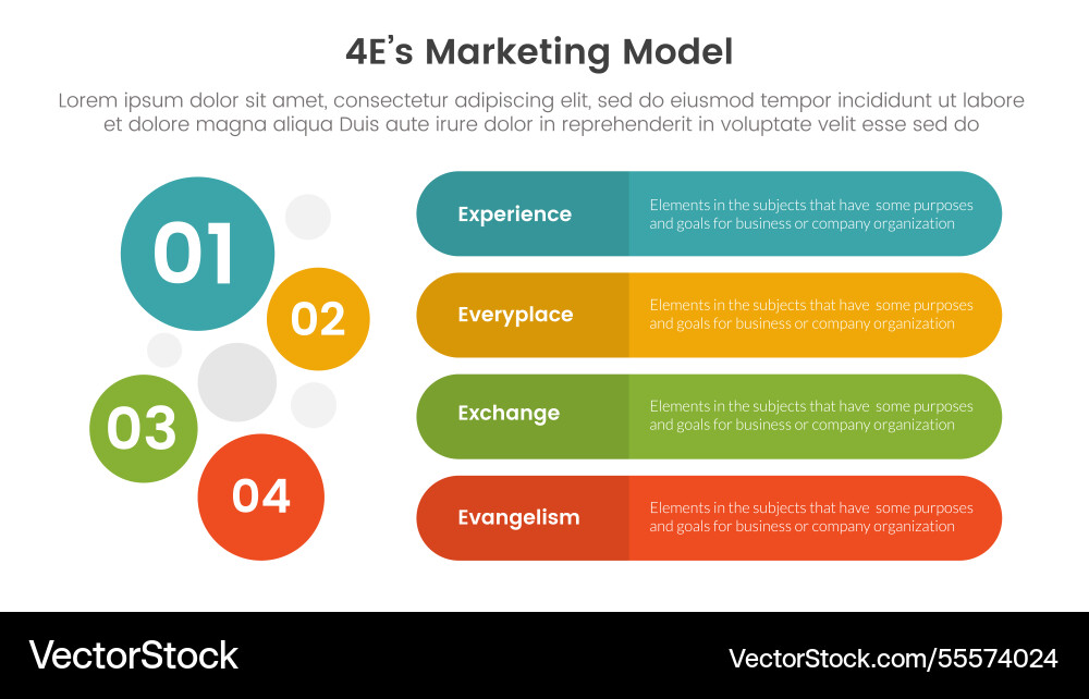 4e marketing model infographic 4 point stage Vector Image