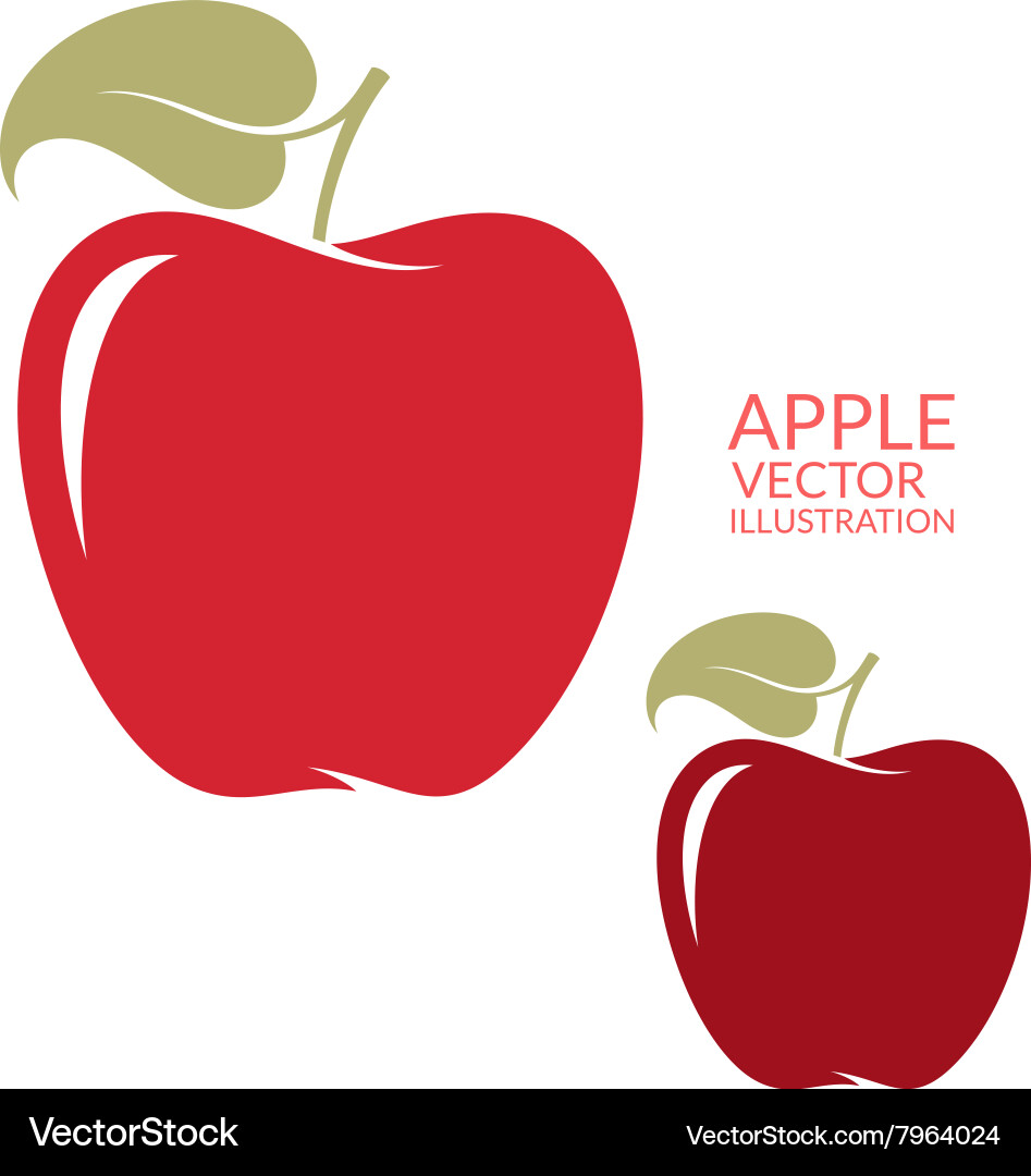 Red apple isolated fruit on white background Vector Image