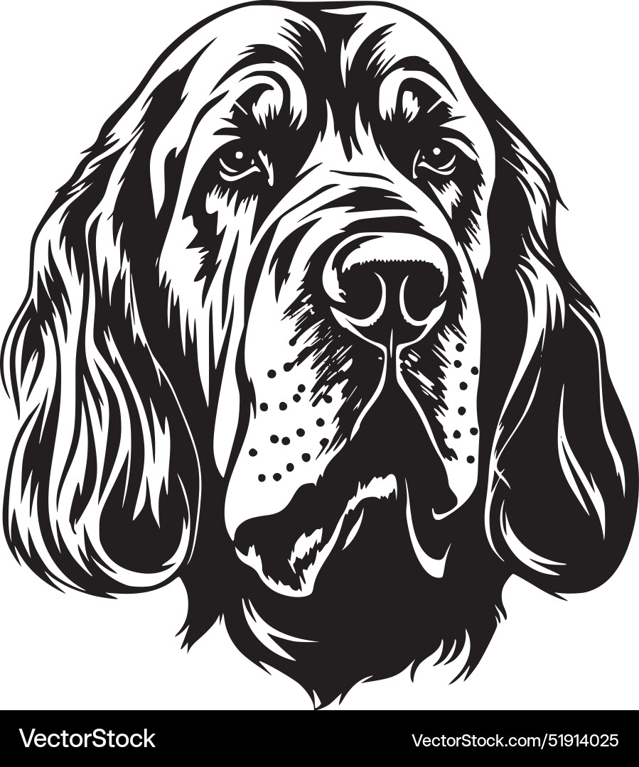 Bloodhound - black and white isolated icon Vector Image