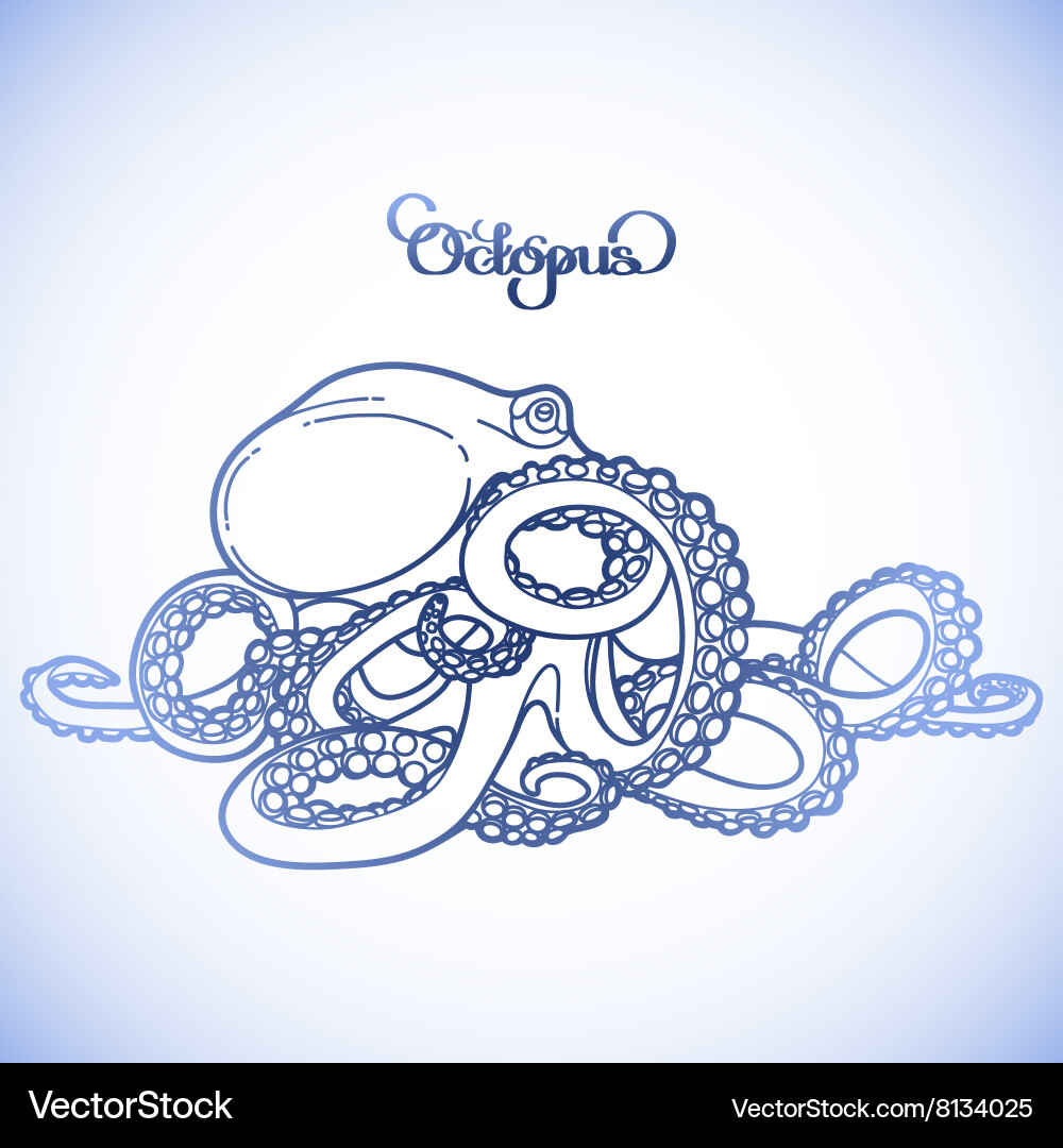 Graphic octopus Royalty Free Vector Image - VectorStock