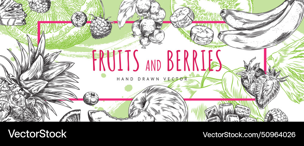 Hand drawn fruit and berry banner with space Vector Image