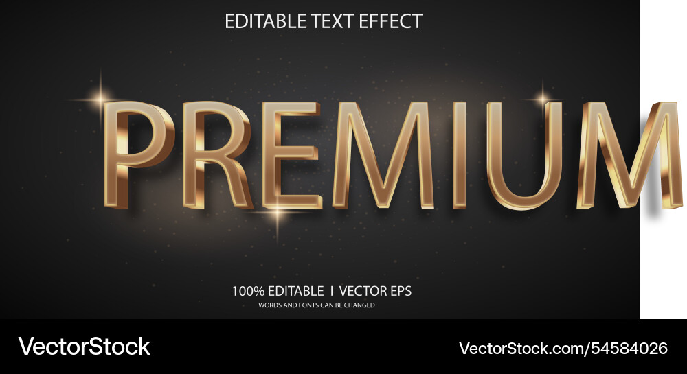 Premium 3d text effect with modern style design Vector Image