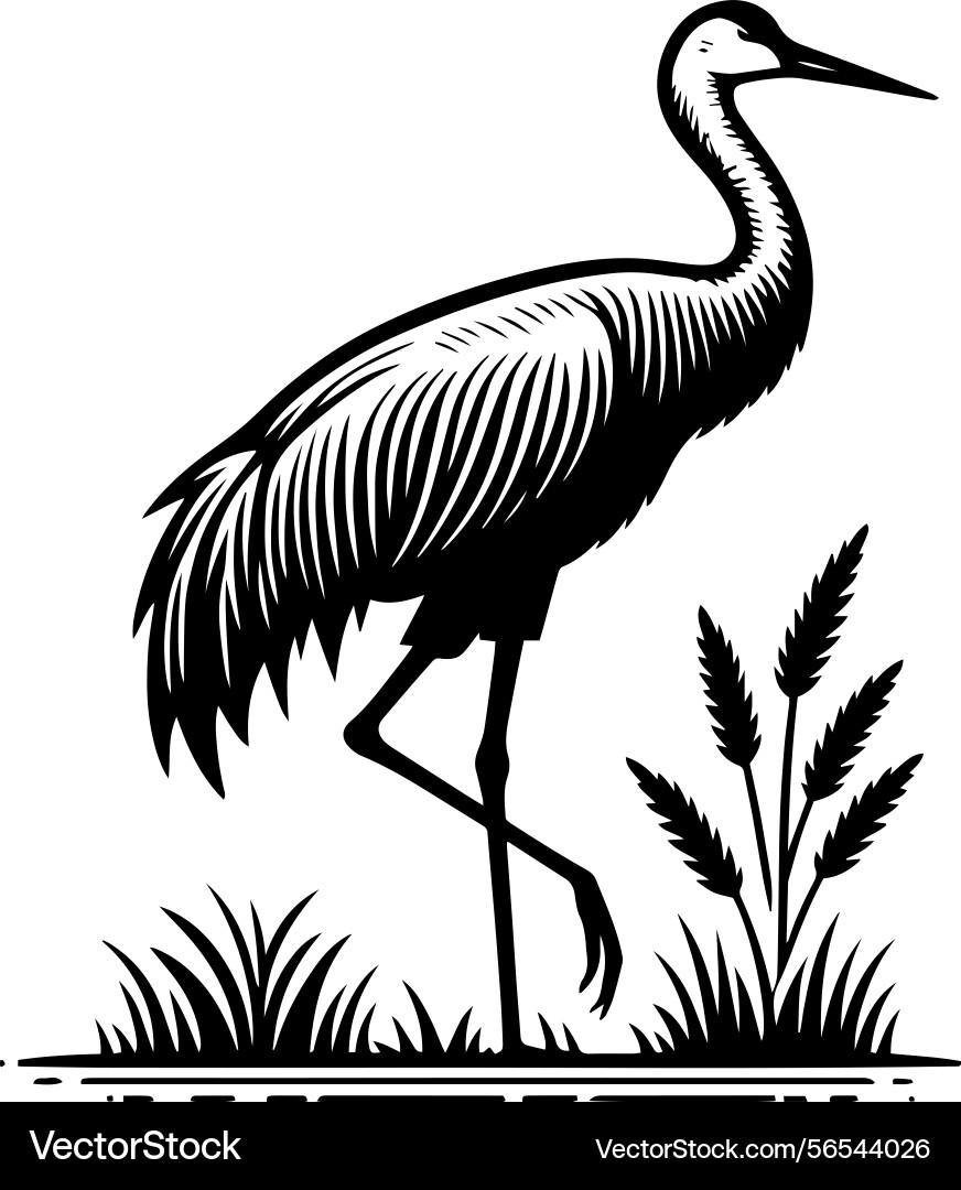 Simple sandhill crane side view icon vintage Vector Image