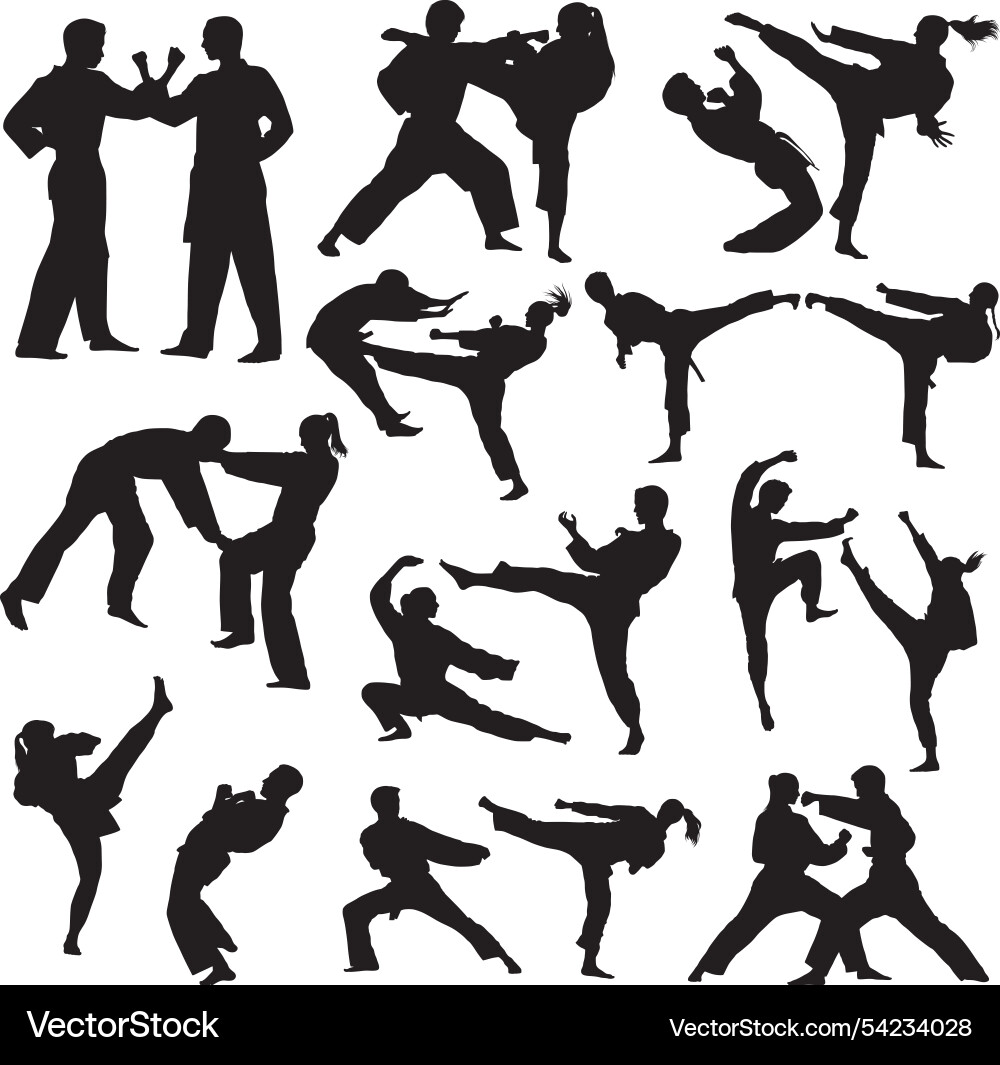 Couple exercising karate Royalty Free Vector Image