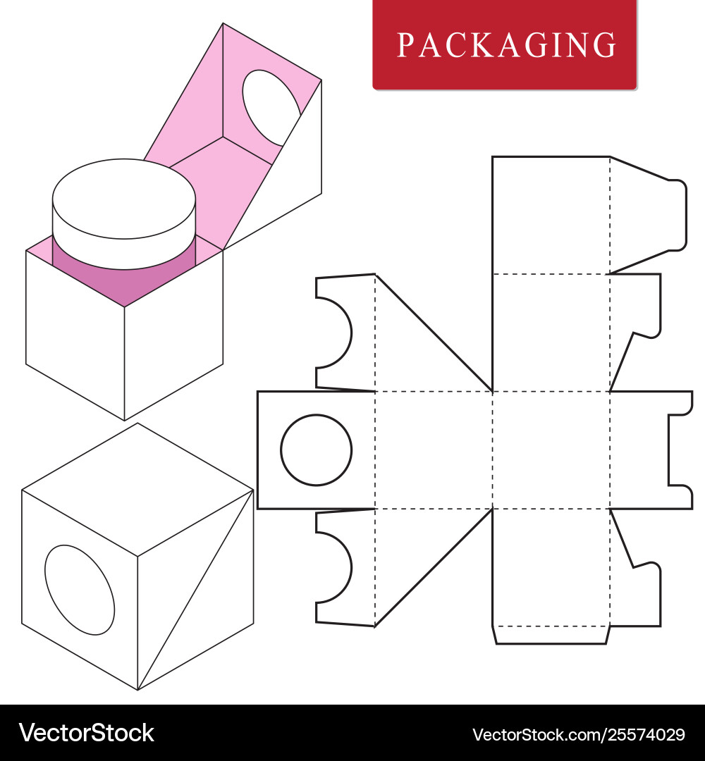 Boxpackage template isolated Royalty Free Vector Image