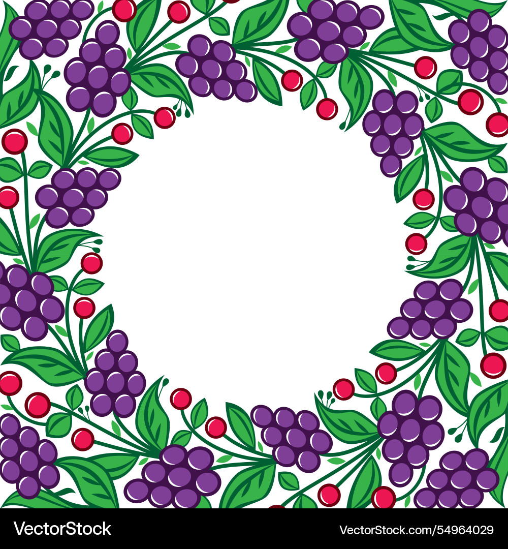 Greeting card with floral grapes frame design Vector Image