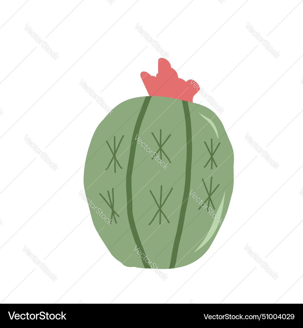 Prickly pear cactus isolation on white background Vector Image