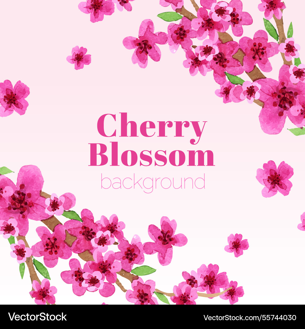 Hand drawn cherry blossom background Royalty Free Vector