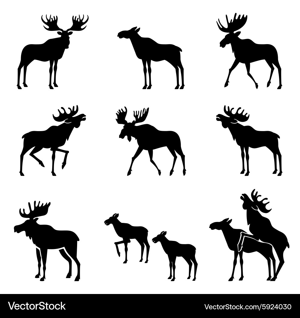 Animals Mating Vector Images (over 690)