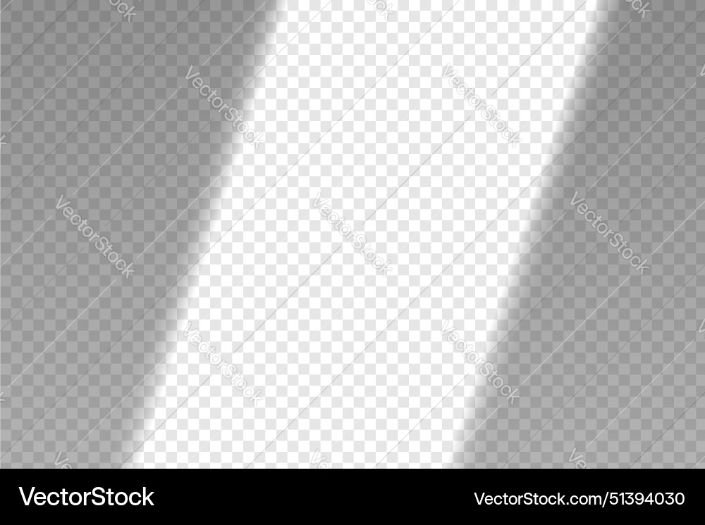 Shadow overlay effect soft realistic Royalty Free Vector