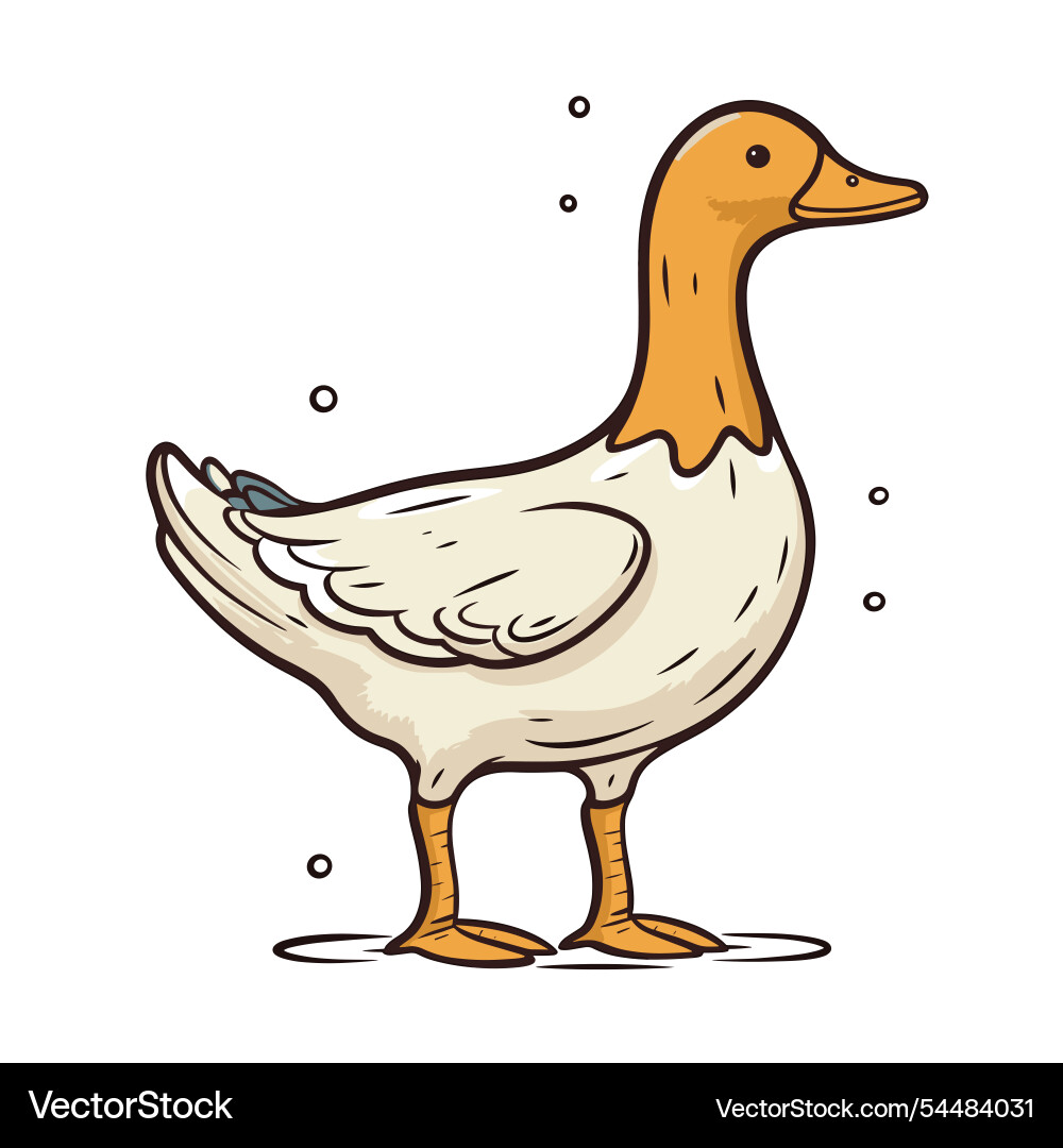 Duck standing by water with playful splashes Vector Image