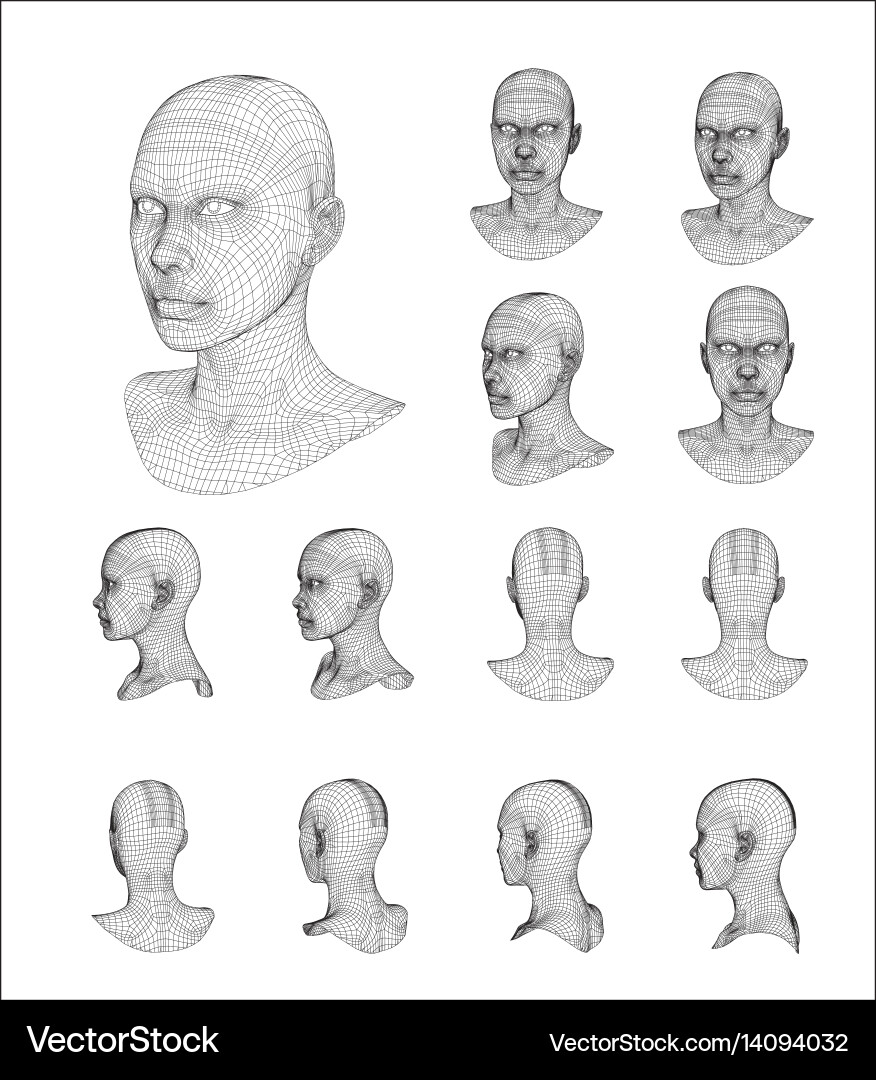 3D Wireframe Head Model Royalty Free Vector Image