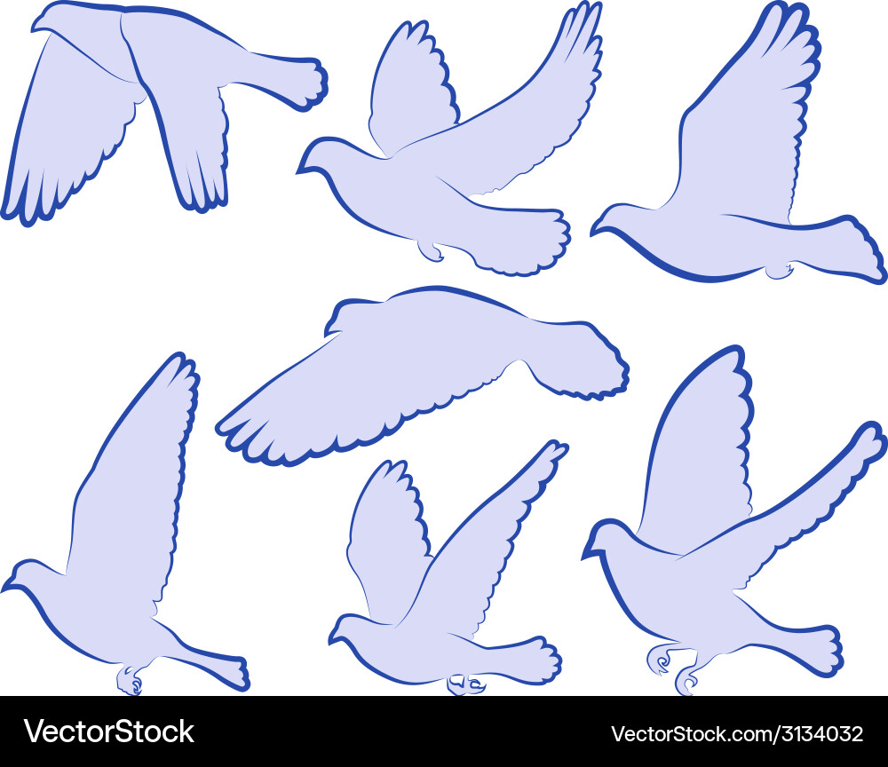 Dove Royalty Free Vector Image - VectorStock