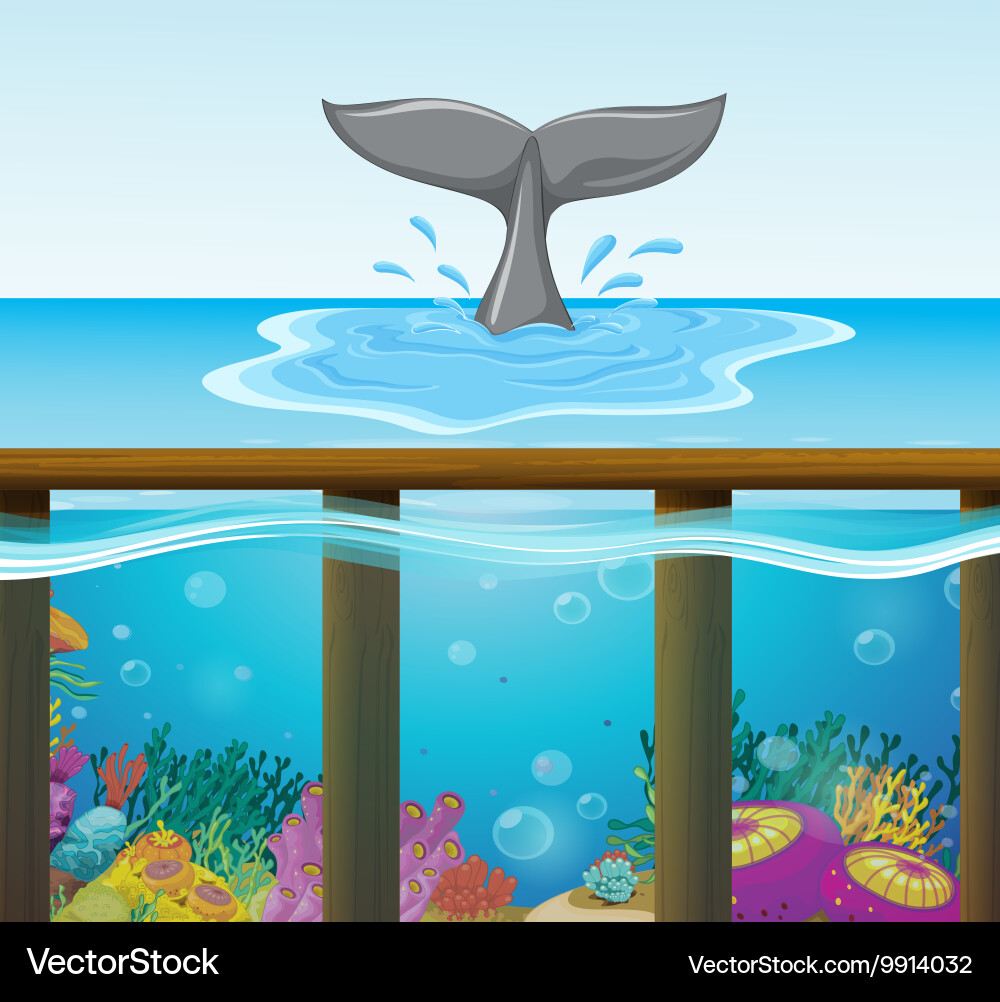 Ocean scene with dolphin tail Royalty Free Vector Image