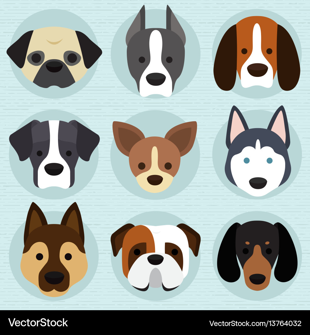 Set of cute dogs Royalty Free Vector Image - VectorStock