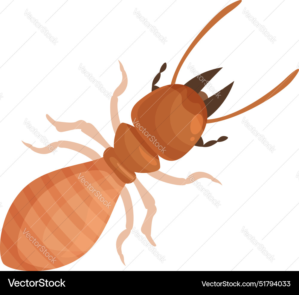 Big brown termite insect crawling showing its Vector Image